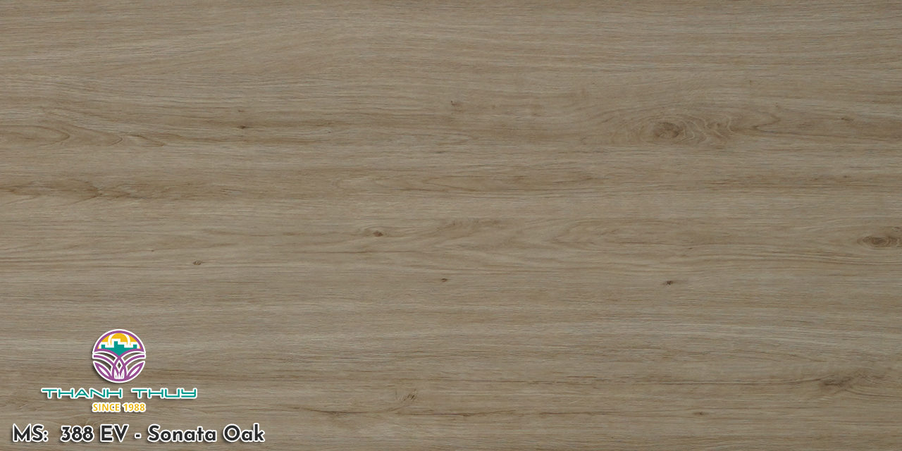 ☑️Bảng mã màu melamine Gỗ Thanh Thùy ( Đảm bảo chất lượng, tiến độ)